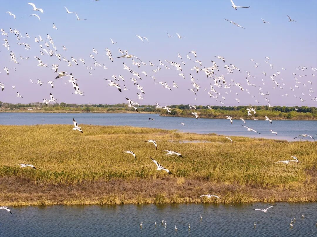 杭州秋冬的“多巴胺”美景来啦～